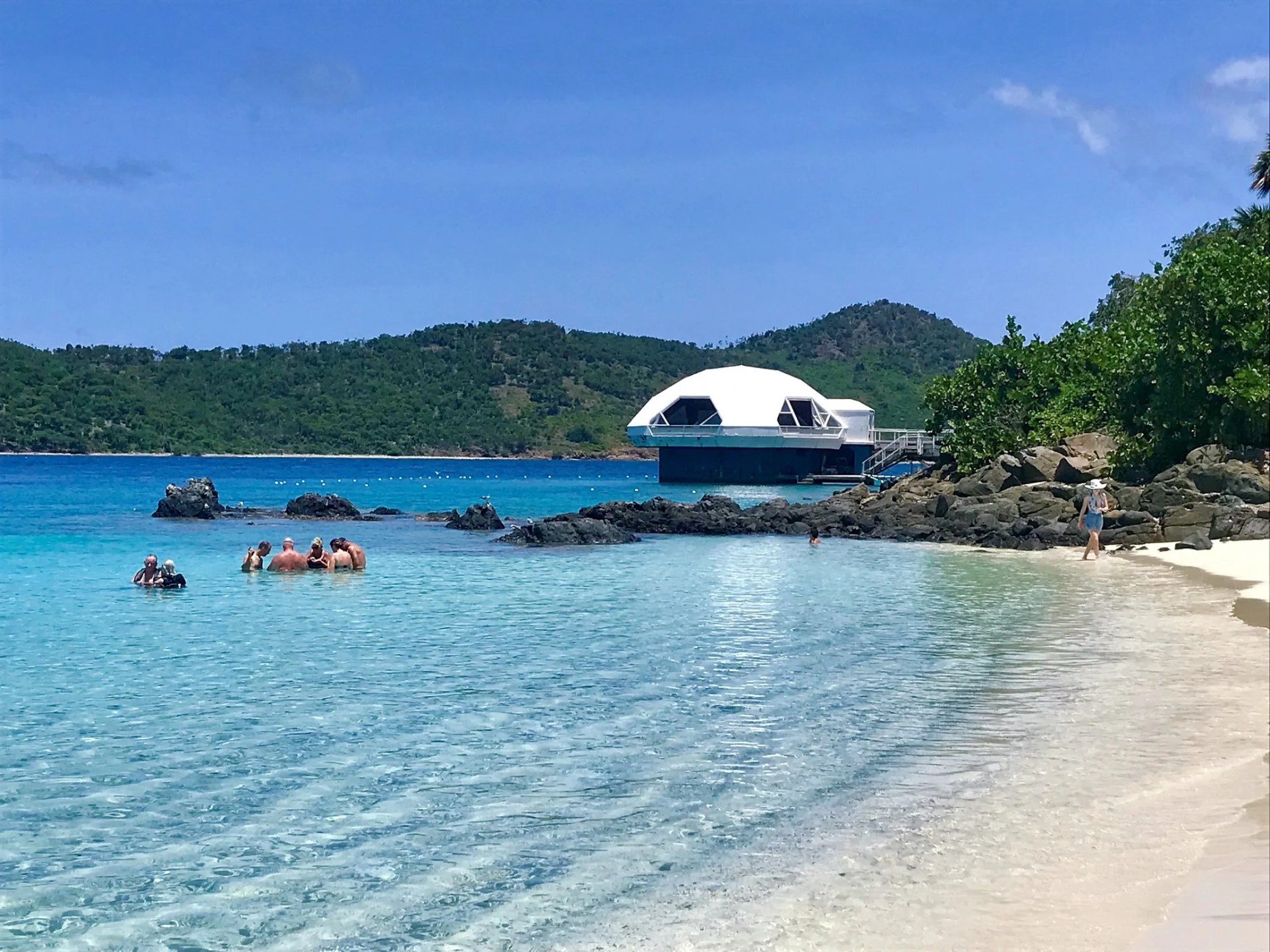 St. Thomas Aquarium Events | Coral World Ocean Park